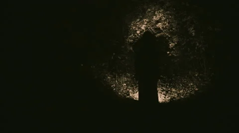 Female Ghost Apparitions 146 Ghost Apparitions Stock Photos Free