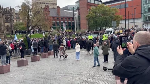 Ricky Stock Videos – Royalty-Free HD & 4K Videos | Pond5