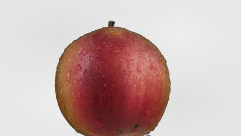 Apple (alpha channel) | Stock Video | Pond5