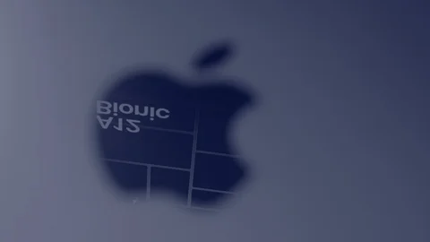 Surfs Up Company Stock Videos – Royalty-Free HD & 4K Videos | Pond5