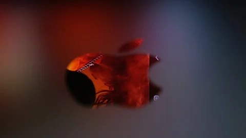 Surfs Up Company Stock Videos – Royalty-Free HD & 4K Videos | Pond5