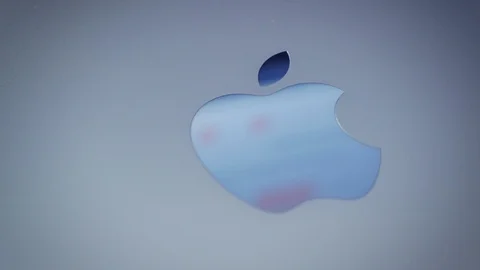 Surfs Up Company Stock Videos – Royalty-Free HD & 4K Videos | Pond5