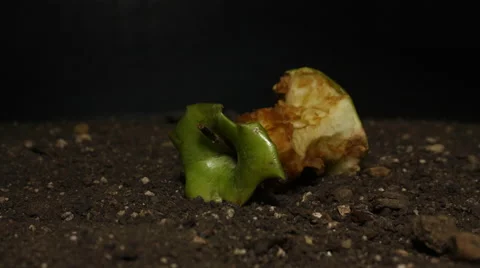 Decay Stock Footage ~ Royalty Free Stock Videos | Pond5