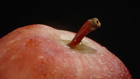 Apple stalk, a recess filled with water.... | Stock Video | Pond5