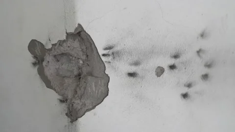 Bullet Impact Stock Footage ~ Royalty Free Stock Videos | Pond5