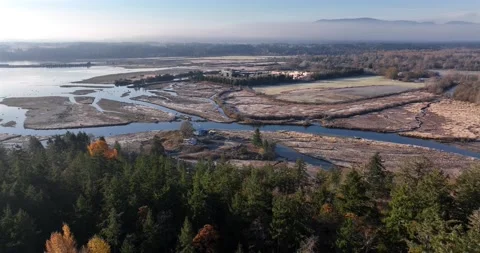 Frosty 5K Stock Videos – Royalty-Free HD & 4K Videos