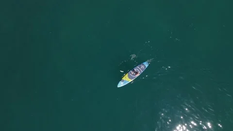 Onetwenty Up Stock Videos – Royalty-Free HD & 4K Videos