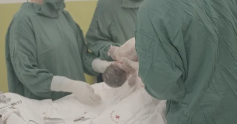 April 2019 Hanoi, Vietnam. A baby was bo... | Stock Video | Pond5