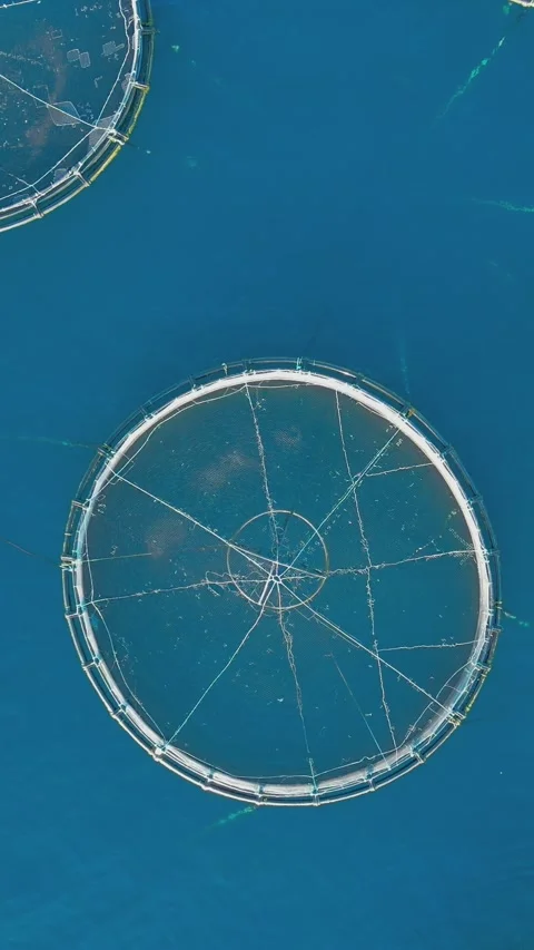 Aquaculture fish farm in open sea | Stock Video | Pond5