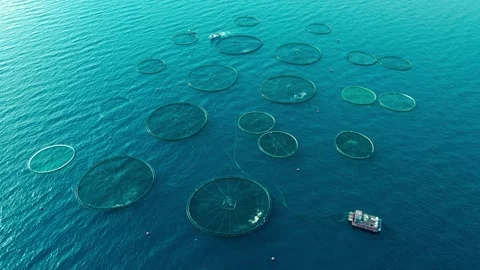 Aquaculture sea fish farming cages, mari... | Stock Video | Pond5