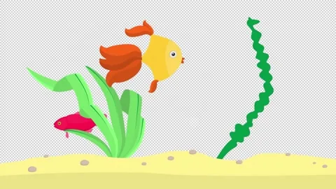 Aquarium with fish. Animation of beautif... | Stock Video | Pond5