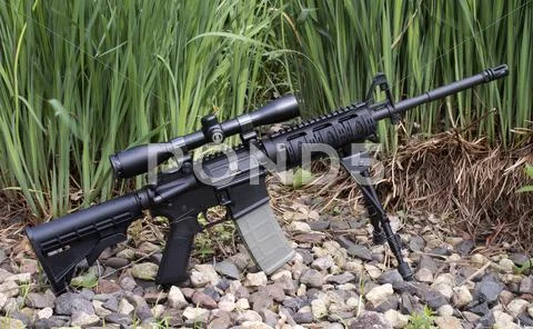AR-15 semi-auto rifle ~ High Resolution & Quality #63548738