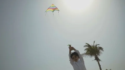 Kite Flying Stock Video Footage | Royalty Free Kite Flying Videos | Pond5