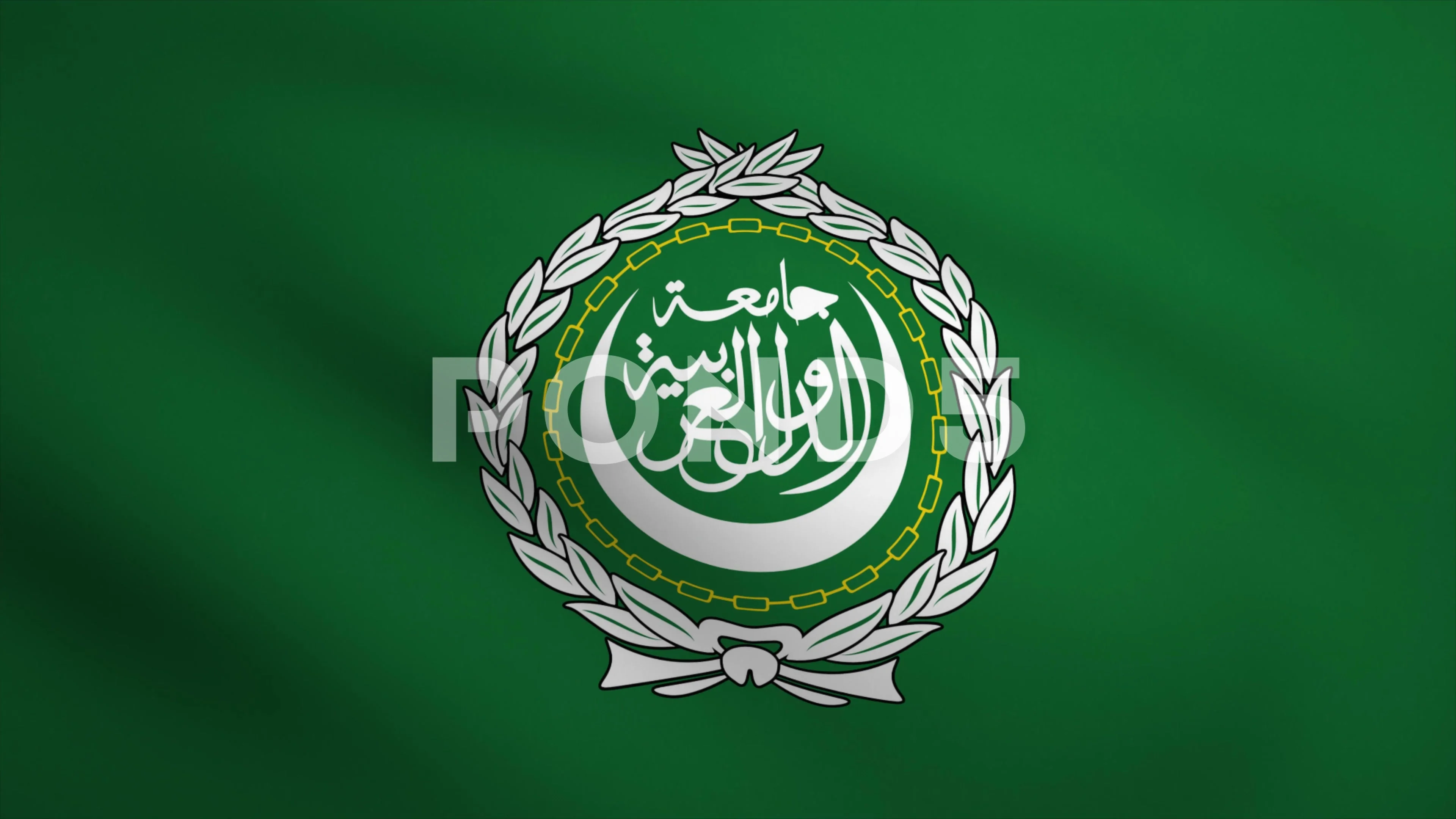 Arab League Flag