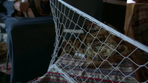 Arab Festival Stock Video Footage | Royalty Free Arab Festival Videos ...