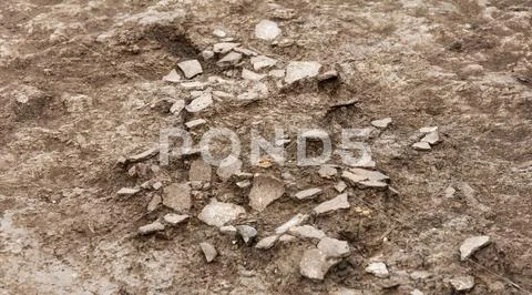 Archaeological excavations, archaeologists work, dig up an ancient clay ...