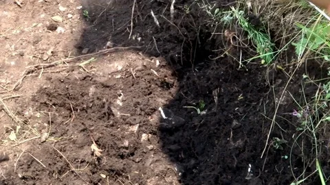 Archaeologist digging up the hard soil a... | Stock Video | Pond5