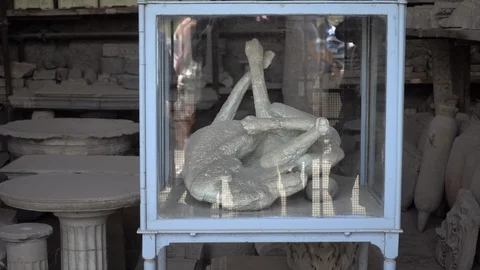 Archeological artifacts plaster cast of ... | Stock Video | Pond5