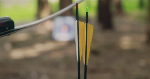Archery girl picks an arrow from the gro... | Stock Video | Pond5