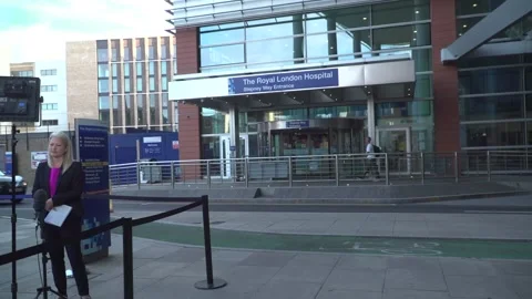 Archie Of Stock Videos – Royalty-Free HD & 4K Videos