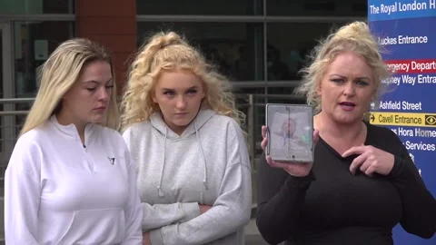 Archie Of Stock Videos – Royalty-Free HD & 4K Videos