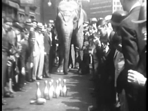 Archival Footage of Elephants Bowling in... | Stock Video | Pond5
