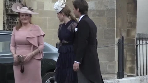 Princess Givijg Birth Stock Videos – Royalty-Free HD & 4K Videos | Pond5