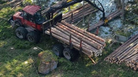 Log Stock Video Footage | Royalty Free Log Videos | Pond5