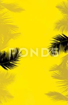 Areca Palm leaves vector , areca palm leaf tropical leaves on Pale ...