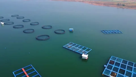 Arial drone view of fish farming in cage | Stock Video | Pond5
