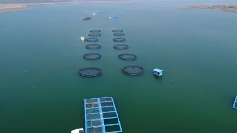 Arial drone view of fish farming in cage | Stock Video | Pond5