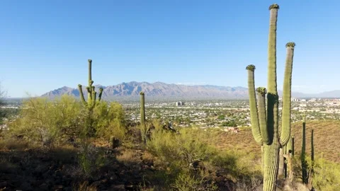 Arizona Tucson Desert Another view of th... | Stock Video | Pond5