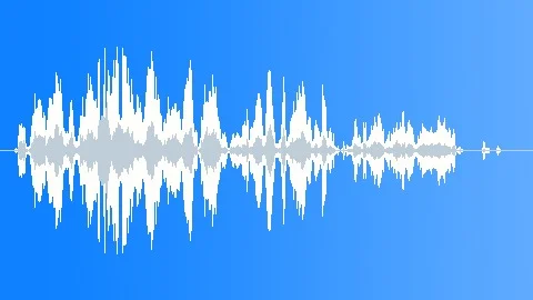 Police Raid Sound Effects ~ Police Raid Sounds | Pond5