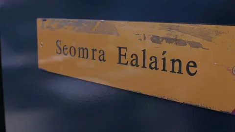 Sign Language Artist Stock Videos – Royalty-Free HD & 4K Videos | Pond5