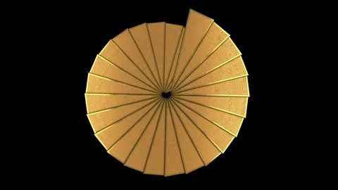 Art Deco Golden Spiral Snail element ani... | Stock Video | Pond5