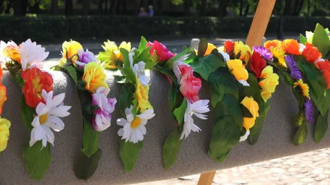 Flower Hair Band\ Stock Videos – Royalty-Free HD & 4K Videos | Pond5