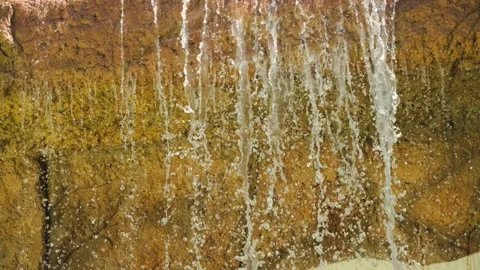 Artificial Wall Backdrop Stock Videos – Royalty-Free HD & 4K Videos