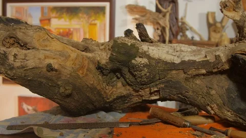 Woman Face Right Stock Videos – Royalty-Free HD & 4K Videos | Pond5