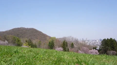 Asahiyama Memorial Park at spring in Sap... | Stock Video | Pond5