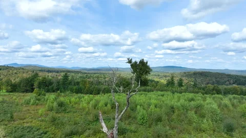 Ascending above a Solitary Tree to revea... | Stock Video | Pond5
