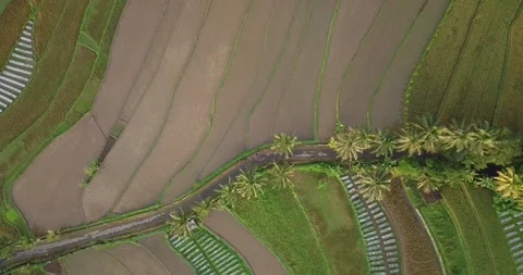 Ascending top view of indonesian country... | Stock Video | Pond5