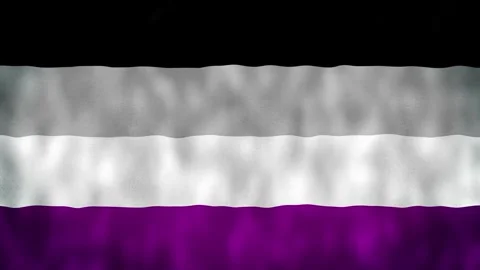 Asexuality pride flag. The Asexual Pride... | Stock Video | Pond5
