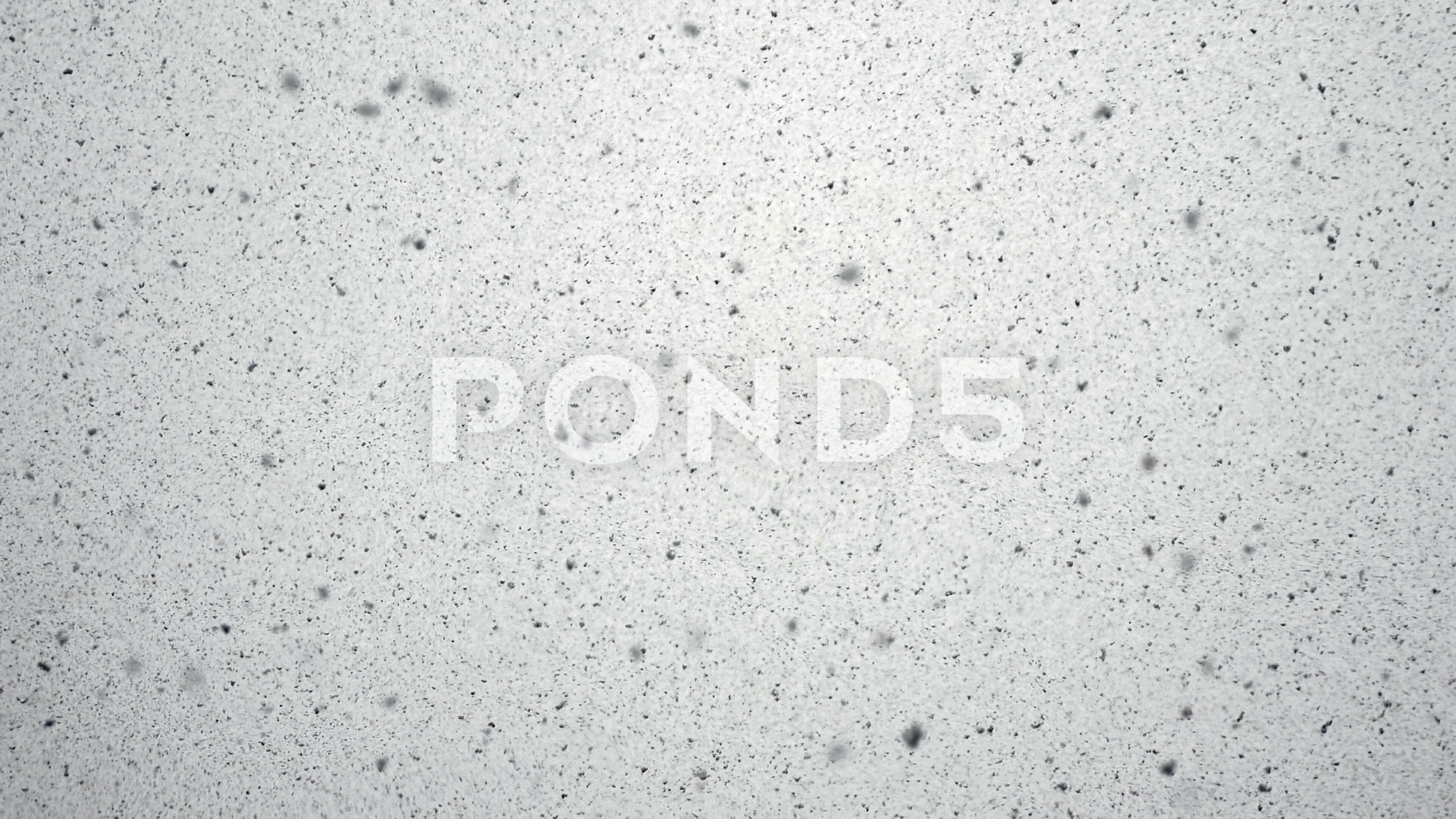 Ashes Falling From The Sky