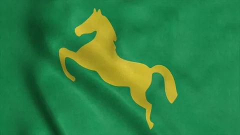 Ash Sharqiyah flag, Egypt, waving in the... | Stock Video | Pond5