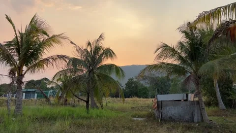 Peaceful House Stock Videos – Royalty-Free HD & 4K Videos