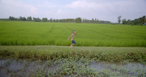 The Asian boy who is the farmer's son is... | Stock Video | Pond5