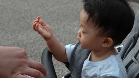 Chinese Trolls Stock Videos – Royalty-Free HD & 4K Videos