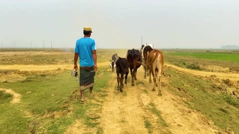 An Asian farmer in rural Bangladesh walk... | Stock Video | Pond5