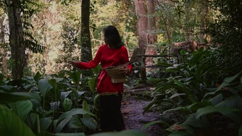 An Asian girl in a red dress walks into ... | Stock Video | Pond5