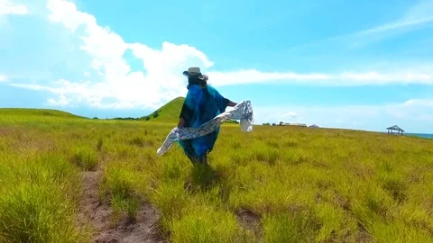 Savannah Wallpaper Stock Videos – Royalty-Free HD & 4K Videos | Pond5